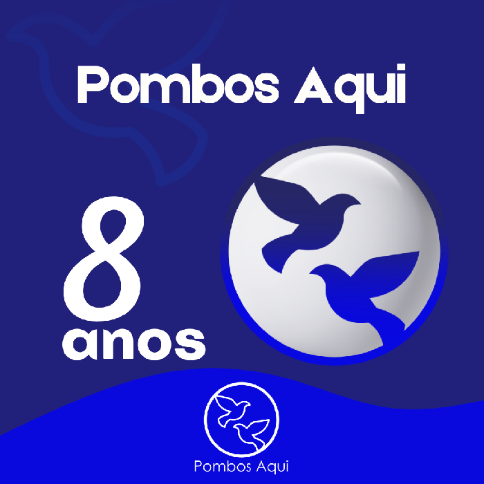 Pombos Aqui